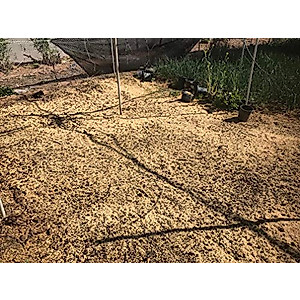 Rice Hulls - Organic Use - 5lb - House Plants – Gardening - Chicken Bedding Nesting