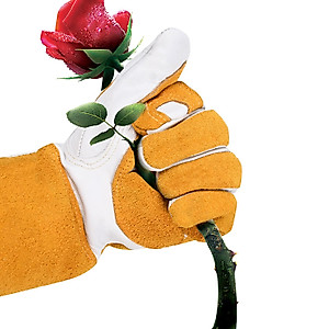 Mixbird Thick Leather Garden Gloves - Thorn Proof, Animal Biting & Scratching Protection, Tool & Working Gloves