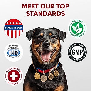 Probiotics for Dogs Digestive Health - Probiotic Chews for Gut Health, Itchy Skin Yeast, Diarrhea - USA Product - Immune Support Supplement - Dog Digestive Support Chewable Probiotic & Enzymes