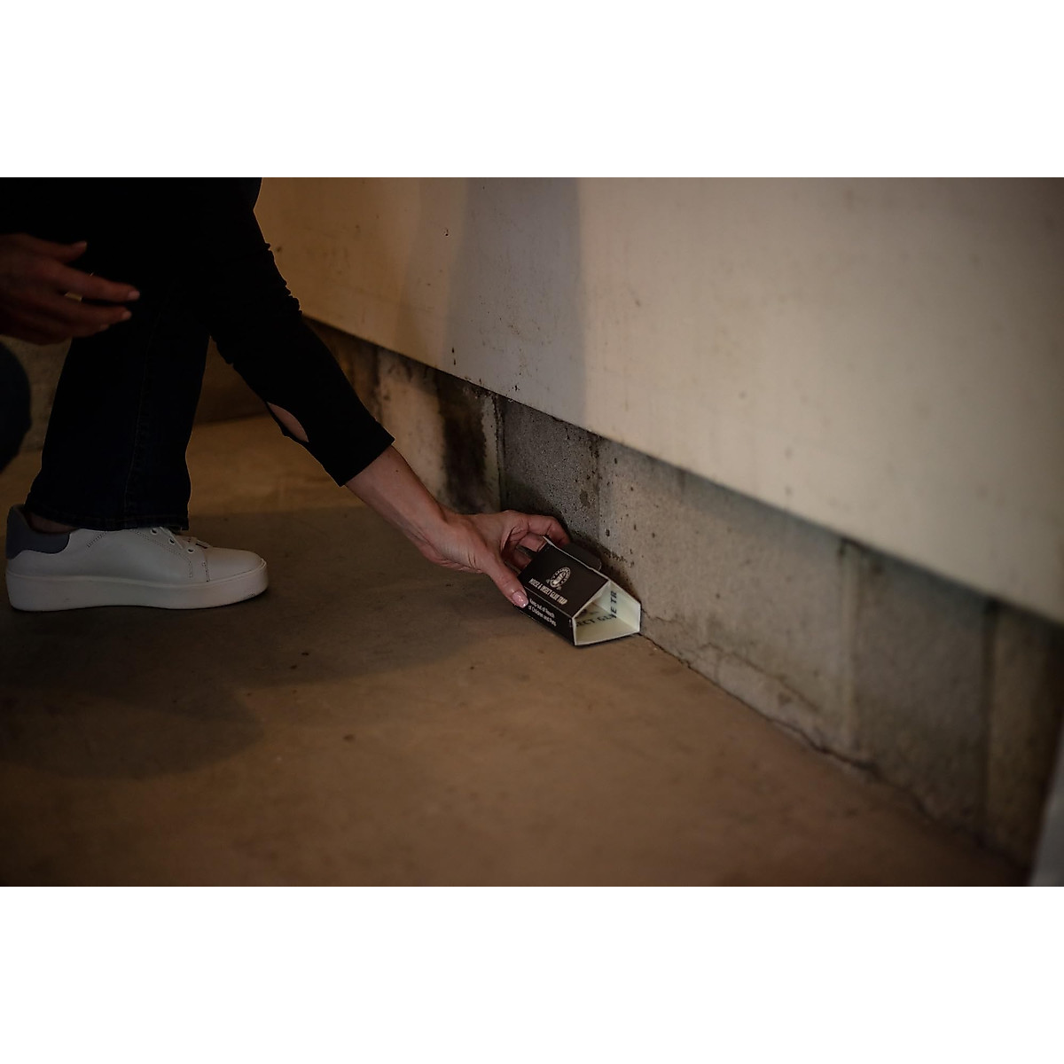 Grandpa Gus's Mouse & Insect Glue Board Traps, Extra-Long Foldable Pre-Baited Sticky Traps for Mouse, Roach, Spider, Ant & Fly, 9.25" x 5.25", Pack of 36