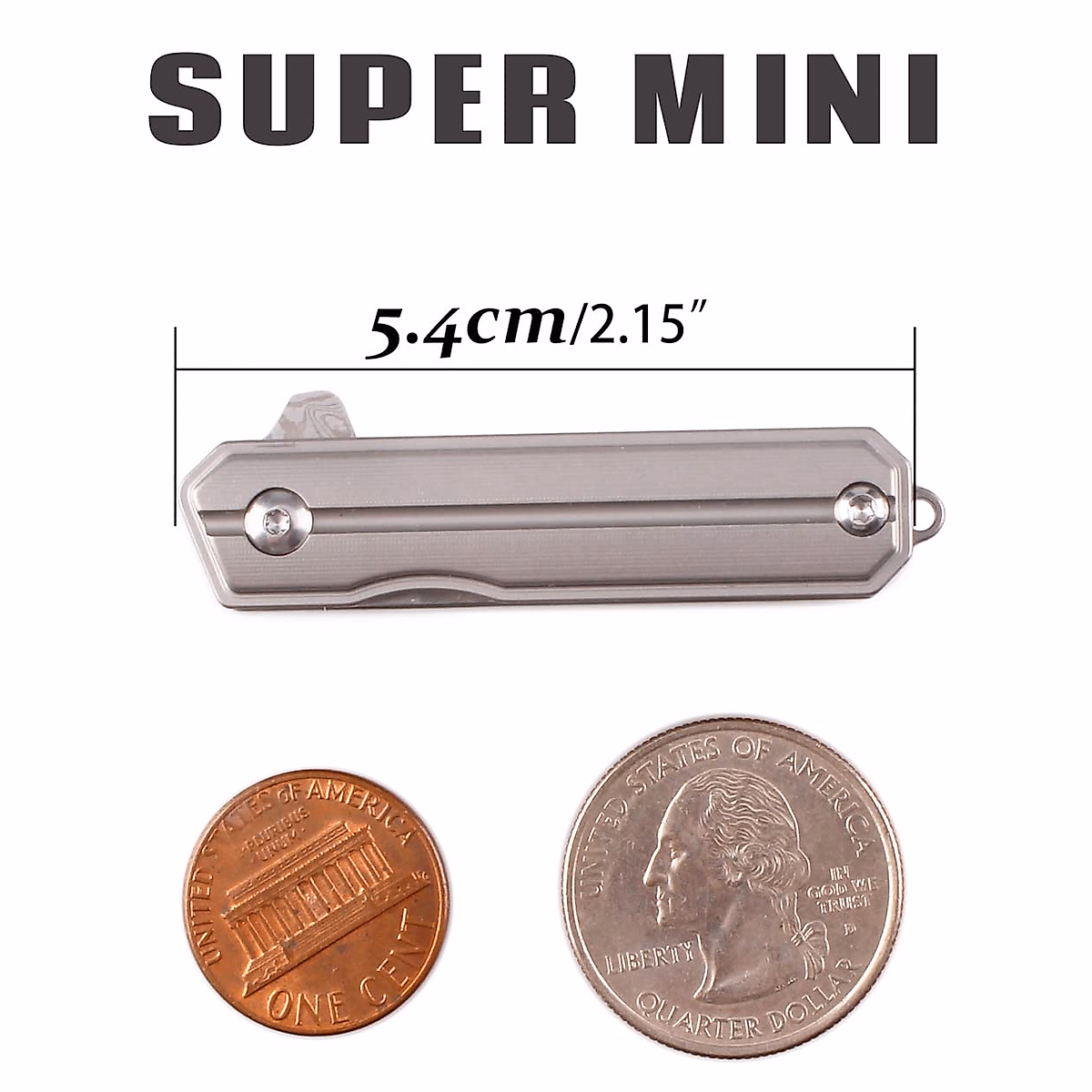 Samior HY004 Mini Titanium Handle Pocket Knife, 1.4 inches Damascus Blade, Keychain Utility Neck EDC Knives for Box Opening (Tanto Point)