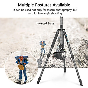 Professional Heavy Duty Carbon Fiber Tripod, ARTCISE 72.6'' Camera Tripod Monopod, 10-Layer Carbon Fibre Tube, 32.5mm Leg with Panorama 44mm Tripod Ball Head for Canon Sony DSLR SLR Digital Camcorder