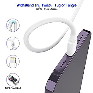 10FT iPhone Charger Fast Charging,40W USB C Fast Charger iPhone[Apple MFI Certified]2Pack 10foot TypeC to Lightning Cable Dual Port Apple Fast Charger Power Adapter for iPhone14/13/12/11/XS/XR/SE/iPad