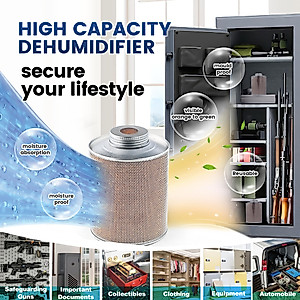 Wisesorb 750 Grams Gun Safe Dehumidifier, Reusable Canister Desiccant Dehumidifier, Rechargeable 1.65 Lbs Indicating Silica Gel Orange to Green, Pack of 1