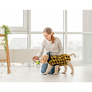 Mairbero Dog Surgery Recovery Suit Female/Male/Neuter,Dog Halloween Christmas Shirt,Suit Substitute E-Collar & Cone Prevent Licking