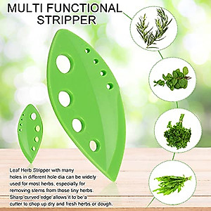 2Set Fresh Herb Keeper,Herb Saver for Refrigerator Herb Saver Pod, Vegetables Leaf Separator,Herb Storage Container for Cilantro, Mint, Asparagus Keeps Greens Fresh 3 Weeks(As Shown,size:9.6x2.6inch)