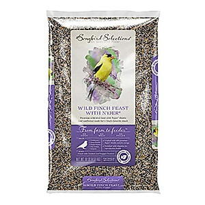 Global Harvest Foods Audubon Park Songbird Selections Finches Wild Bird Food Nyjer Seed 10 lb.