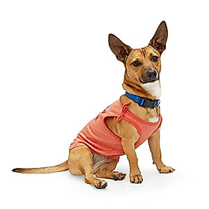 YOULY Wild & Free Dog Tank, X-Large