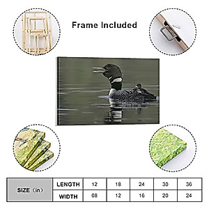 Common Loon with Chick on Water Back Call Picture Poster Wall Decoration Poster in Kamloops, British Canvas Painting Posters And Prints Wall Art Pictures for Living Room Bedroom Decor 24x36inch(60x90