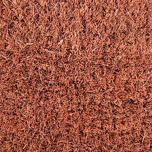 DII Heavy Duty Coir Doormat with Nonslip Vinyl Backing, Welcome Mat Outdoor Entry Way & Front Porch Décor, Home Sweet Gnome, 17x29