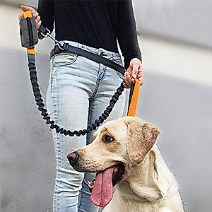 SLSON Pet Waste Bag Dispenser Zippered Pouch,Portable Dog Poop Bag Holder Leash Attachment Lightweight Fabric Bags (Dark Grey)