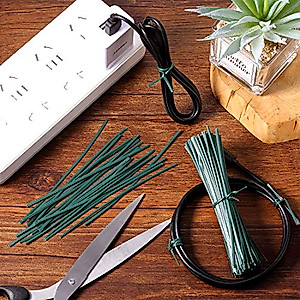 WILLBOND 200 Pieces 4.72 in Wire Twist Flexible Plant Ties, Nose Clips Nose Bridge Bracket DIY Wire, Garden Plant Twist Tie Plastic Garden Plant Support (Green)