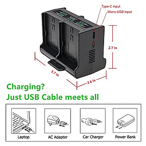 Kastar 2-Pack Battery and Quadruple Charger Compatible with Sealife FJ-SLB-SLB10A Battery, Sealife DC2000 Underwater Camera, WASPcam 9905 Wi-Fi, WASPcam 9906 CAMO, WASPcam 9907 4K
