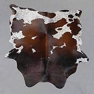 MeshNew Tricolor Brazilian Cowhide Rug Tri Cow Hide Skin Leather Area Rug Exotic (Small 5ft X 3ft)