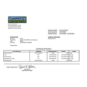 Nature's Fusions Neuro NAC Supplement N-Acetyl Cysteine Ethyl Ester - More Bioavailable Than NAC 600 mg - Boost Glutathione 10x More Than Liposomal Glutathione - 60 Capsules