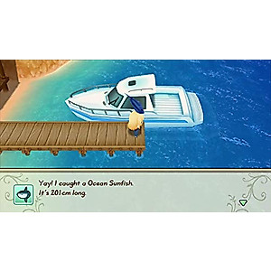 Story of Seasons: Friends of Mineral Town - Nintendo Switch