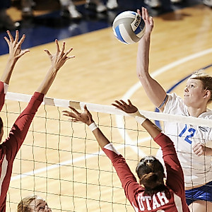 Dynamax Sports Competitor Volleyball Net, 3' x 32'