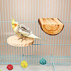 4 Pack Parrot Cage Perch Natural Wooden Perch Toys Bird Cage Toys Accessories for Small or Medium Conure,Parakeet,Budgie,Finches,Amazon Parrot（Style-1）