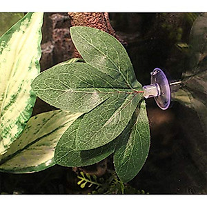 Mllepjdh Betta Fish Hammock Plastics Betta Leaf Pad Aquarium Plant Leaves Accessories for Playing Fish Tanks Hideout Decoration Pet Rainbow Ball Foam Pets Dog Training Training Ball Dog Treat