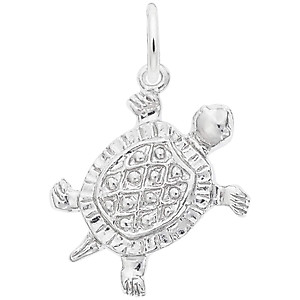 Rembrandt Charms Turtle Charm, Sterling Silver