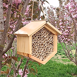 Mason Bee House Native Bee Hive Hexagon Bee House Natural Handmade Wooden Mason Bee Box Habitat Home Hotel with Bamboo Tubes -Attracts Peaceful Bee Pollinators to Enhance Your Garden's Productivity