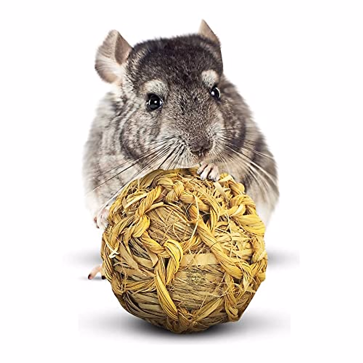 SunGrow Seagrass Balls for Rabbit, for Pet’s Gums & Teeth, Chewable Teething Activity Toy for Gerbils, Guinea Pig, Dwarf Bunny, 1 Pc