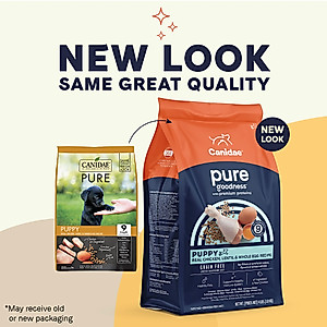 Canidae Pure Grain Free Dry Puppy Food, Real Chicken, Lentil & Whole Egg, 4 lbs.
