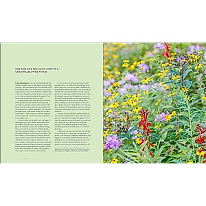 Garden Revolution: How Our Landscapes Can Be a Source of Environmental Change