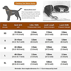 CXDTBH Dog Collar Engraved ID Personalized Pet Collar with Leash for Chihuahua Boy Dog Turquoise Velvet Dog Collar and Leash Set ( Color : E , Size : L )