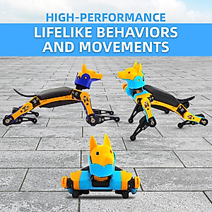 Bittle Robot Dog Kit(Construction) | Coding Smart Robot Pet, Quadruped Robot Kit for STEM & Robotics Education | Programmable Open Source, App Control IoT Robot for Engineers, Geeks, & Students