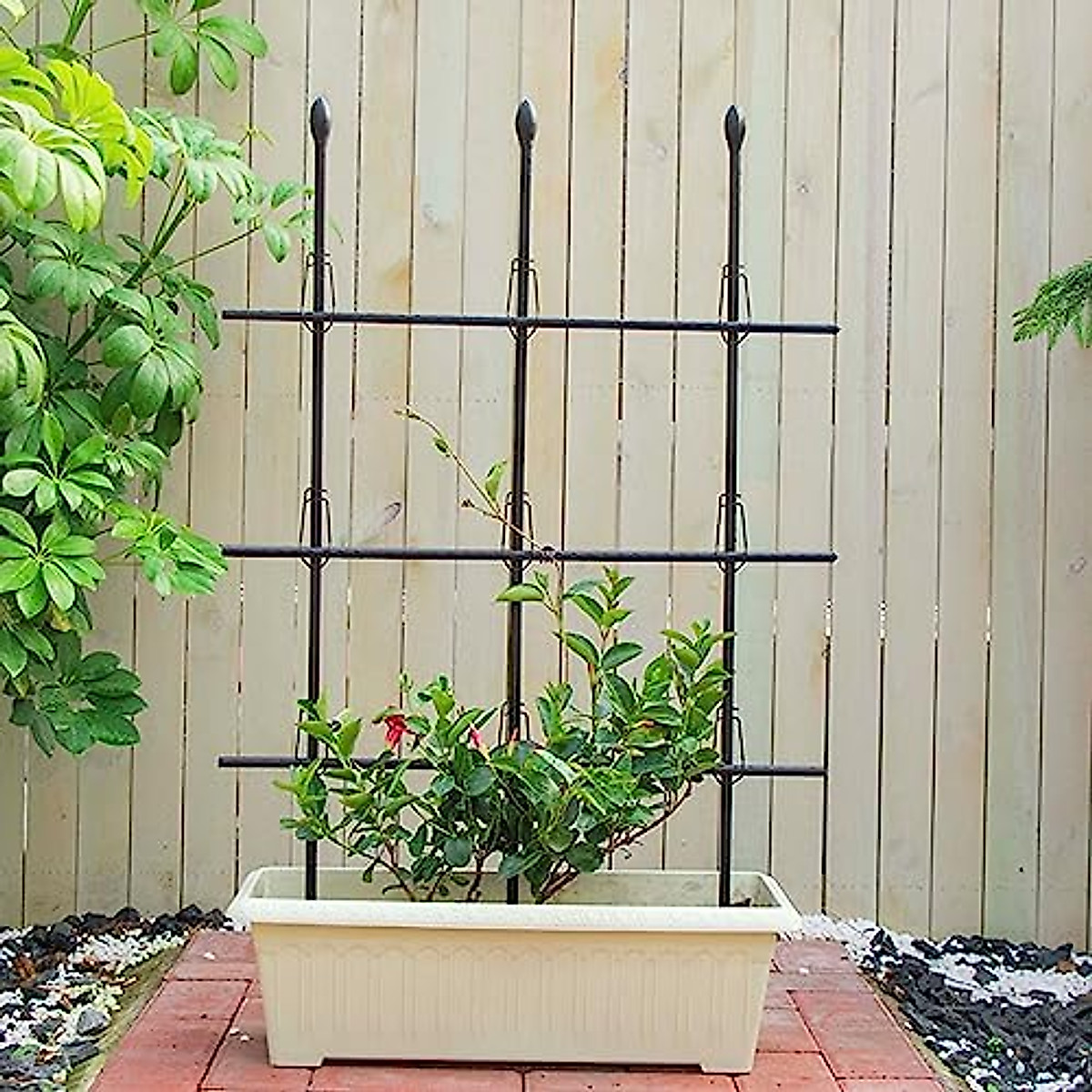 Garden Trellis, Plant Trellis for Climbing Plants Indoor Outdoor, DIY Tomatoes Cage Potted Plant Support Stakes for Vegetable, Rose, Bean, Pots, Clematis (Size : 90cm(35.4in*120cm(47.2in))