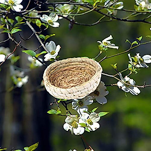 balacoo 2pcs Handwoven Pigeon Birds Nest Natural Straw Woven Incubation Bed Courtship Breeding House for Pigeon Budgie Parakeet Cockatiel