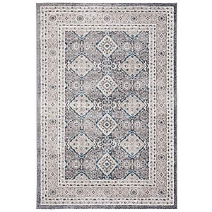 SAFAVIEH Sofia Collection 9' x 12' Light Grey/Beige SOF366B Vintage Oriental Distressed Non-Shedding Living Room Bedroom Dining Home Office Area Rug