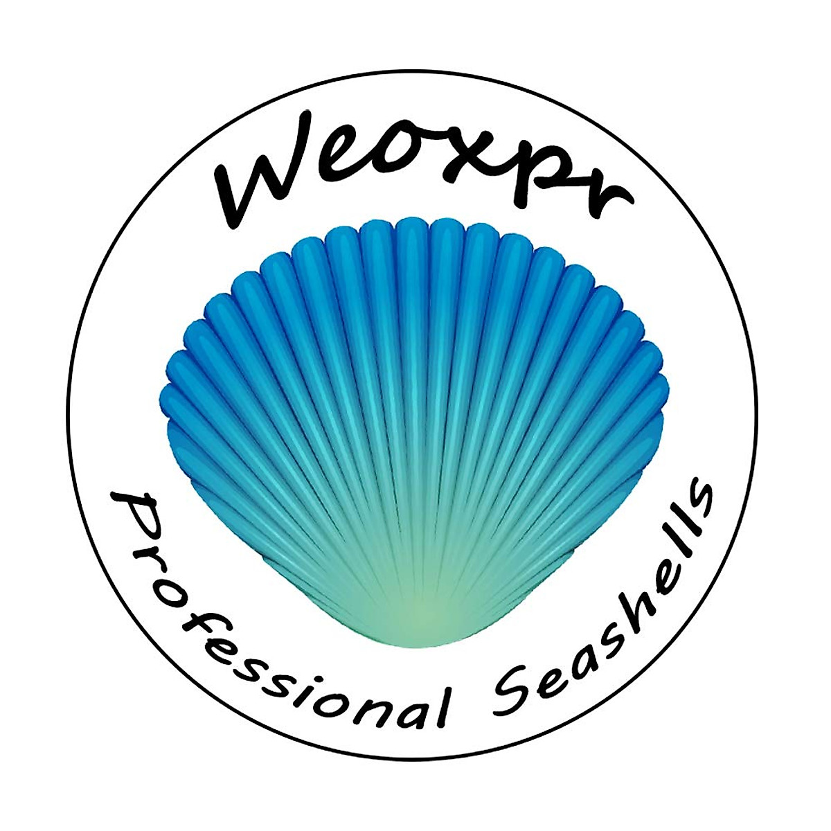 Weoxpr 2000 Pcs Tiny Sea Shells Mixed Ocean Beach Spiral Seashells Craft Charms for Home Decorations, Beach Theme Party, Candle Making, Wedding Decor, DIY Crafts, Fish Tank and Vase Filler(5 - 12mm)