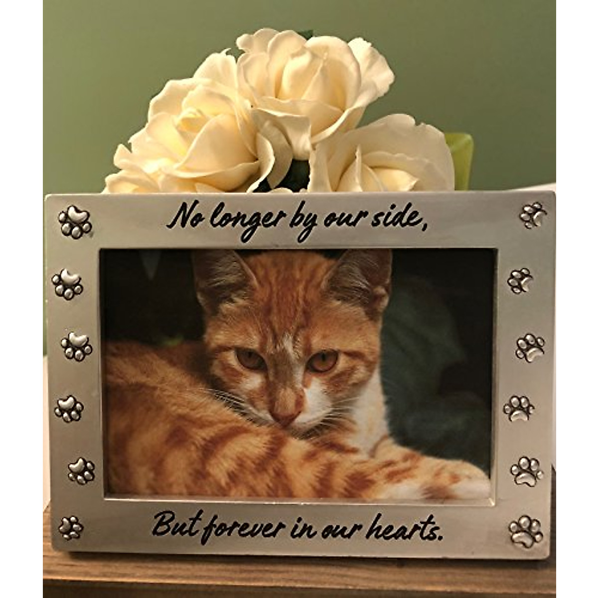 NewLifeLandia Pet Memorial Picture Frame Keepsake for Dog or Cat, Perfect Loss of Pet Gift for Remembrance and Healing