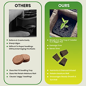 LightlyBloom LED Grow Lights Seed Starter Kit - Complete Indoor Seed Germination Kit | Dual Head Grow Lights, Degradable Seed Starting Trays, Humidity Bio Dome Container, Charcoal Peat Pellets & Tools