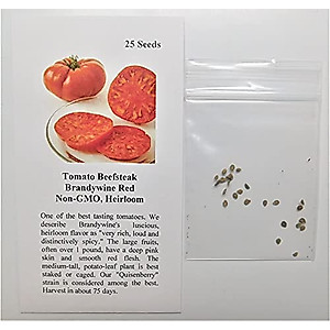 David's Garden Seeds Tomato Beefsteak Indeterminate Brandywine Red FBA-4538 (Red) 25 Non-GMO, Heirloom Seeds