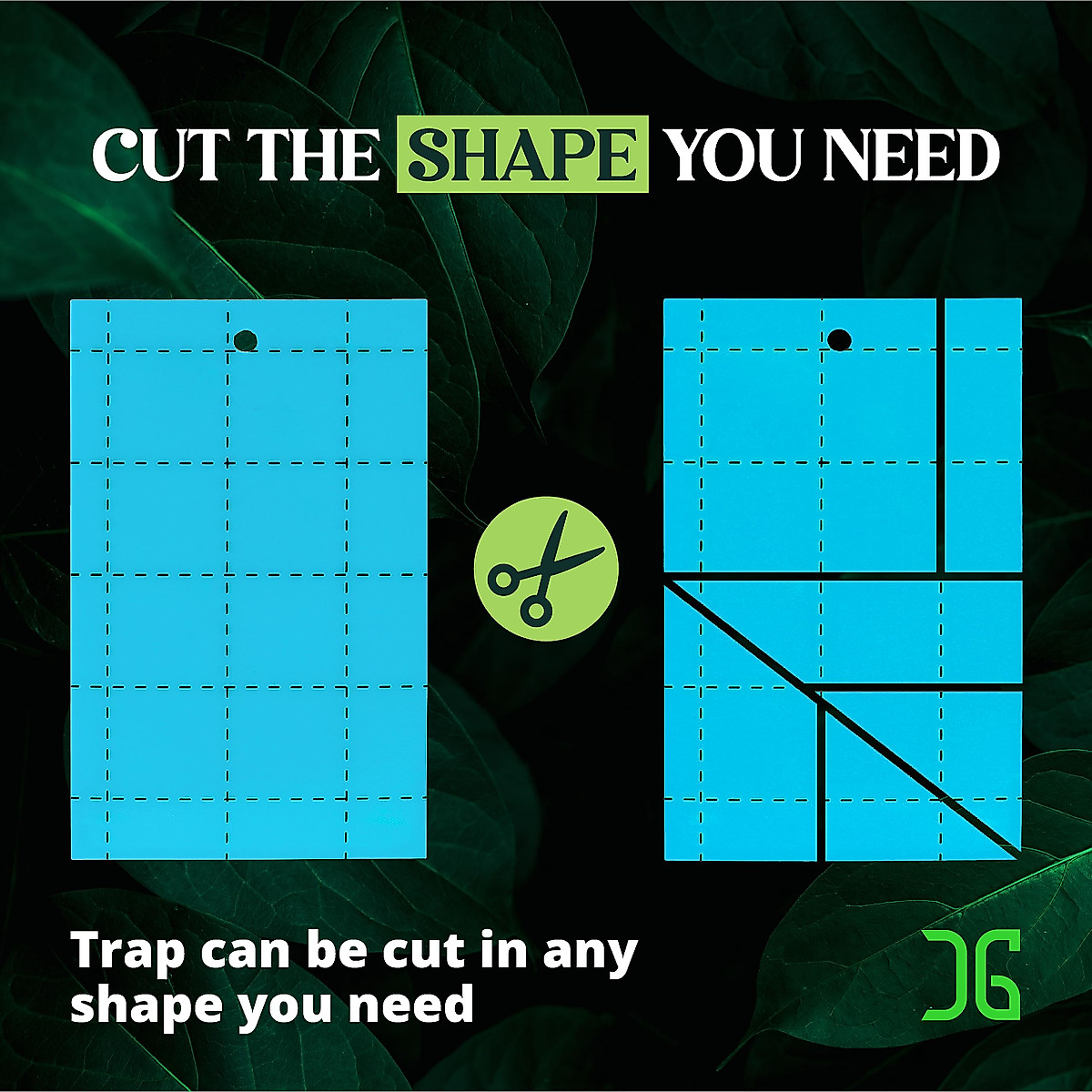 Catchmaster GRO Blue Sticky Trap 72PK, Outdoor Insect Trap, Protect Live Plants Indoor, Bug, Thrips, & Fruit Fly Trap, Glue Traps for Home, Farm, Garden, Hydroponics, & Greenhouse, Pest Control