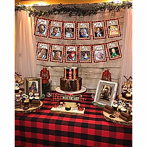 LaVenty Lumberjack First Birthday Banner Lumberjack Monthly Photo Banner Lumberjack First Year Photo Banner 1st Birthday Photo Banner Lumberjack Banner