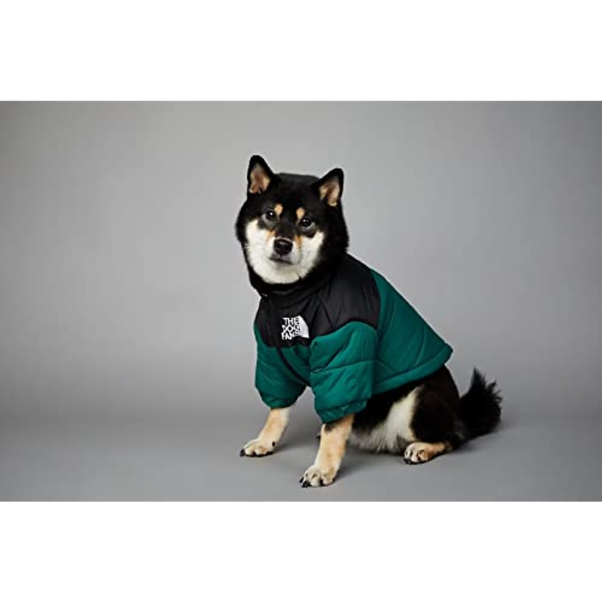 Dog Winter Coat Stylish Dog WaterproofJacket for Small Medium Dogs, Cats -Thicken Dog Coat Windbreaker Puppy Winter Clothes for Cold Weather Snowday