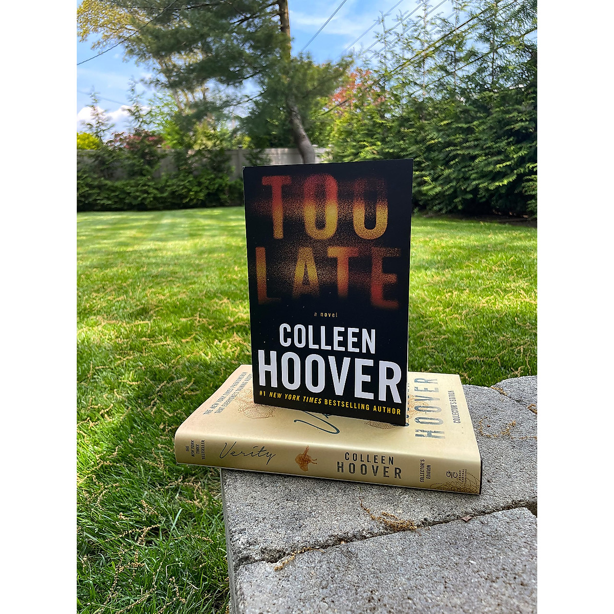 Too Late: Definitive Edition