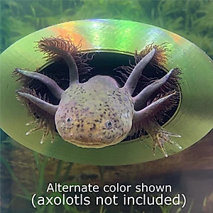 Stroodies Giant Bubbleloft Hide for Arboreal Geckos | Especially Adult Cresties | Includes 4X Suction Cups | (LeafGreen)