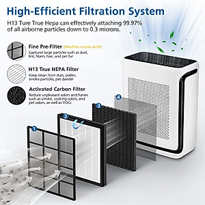 2 Pack Vital 200S Replacement Filter Compatible with LEVOIT Vital 200S Air Purifie-r, 3-in-1 H13 Grade True HEPA, High-Efficiency Activated Carbon Vital 200S-P Replacement Filter, Vital 200S-RF