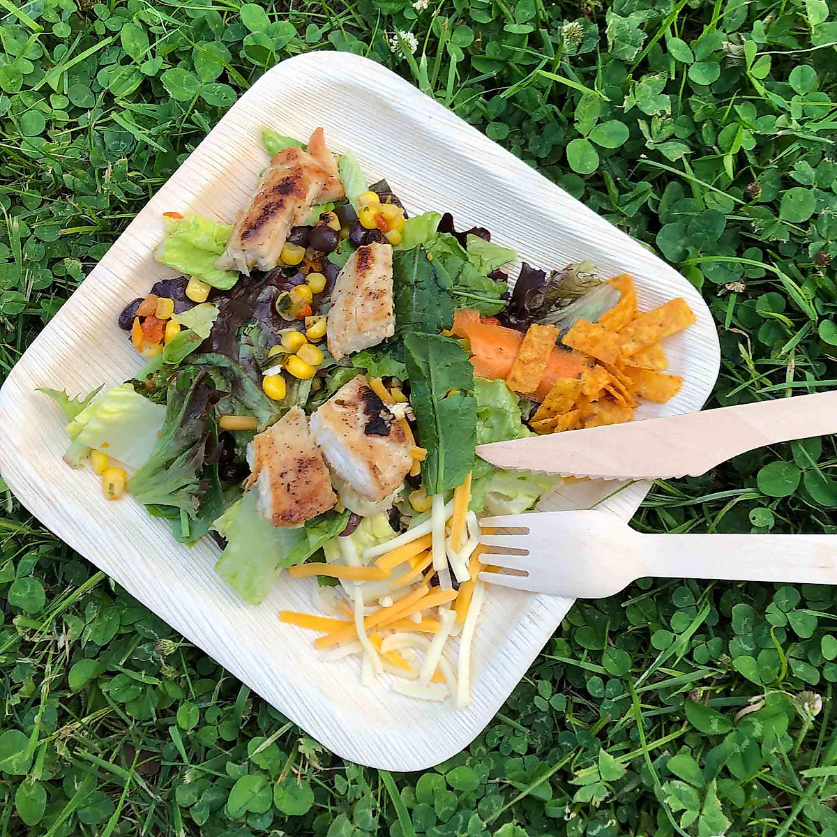 Ecodeco Palm Leaf Compostable Plates - 50 pcs - Square - Disposable Eco Friendly Like Bamboo Party Plates with Cutlery - 8 Inch