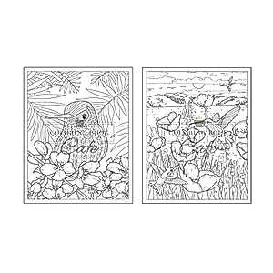 Hummingbird Coloring Book: An Adult Coloring Book Featuring Charming Hummingbirds, Beautiful Flowers and Nature Patterns for Stress Relief and Relaxation