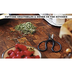 Skyhaven Harvest Pruning Scissors, Traditional Higurashi Japanese-style Bonsai shears for indoor outdoor gardening. A versatile tool for use around the kitchen, house and garden