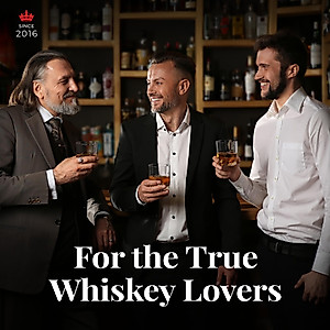 Vivocci Unbreakable Tritan Plastic 12.5 oz Whiskey & Double Old Fashioned Bar Glasses - Thumb Indent Heavy Base - Ideal for Bourbon & Scotch - Upscale Men's Gift - Dishwasher Safe Barware - Set of 4