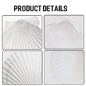 Giftvest 10PCS Sea Shells White Scallop Shells for Crafts Baking Cooking Serving Food, 4-5 inch Large Natural Seashells for DIY Crafts Seashell Beach Decorations for Home Decor