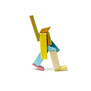 Tegu 14 Piece Magnetic Wooden Block Set in Tints