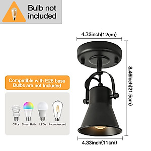 SEEBLEN Track Light Modern Ceiling Spot Lighting Indoor, Adjustable Wall Mount Accent Light,for Bedroom Living Room Hallway Kitchen Painting(2 Pack)